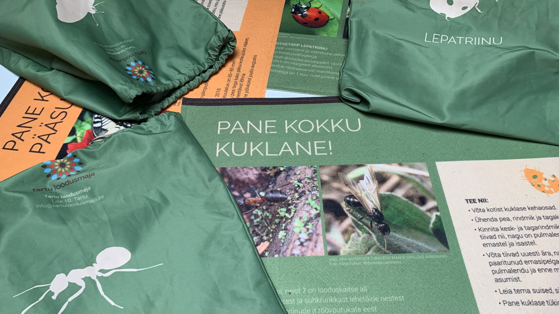 Külalisnäitus - Pernova Loodusmaja